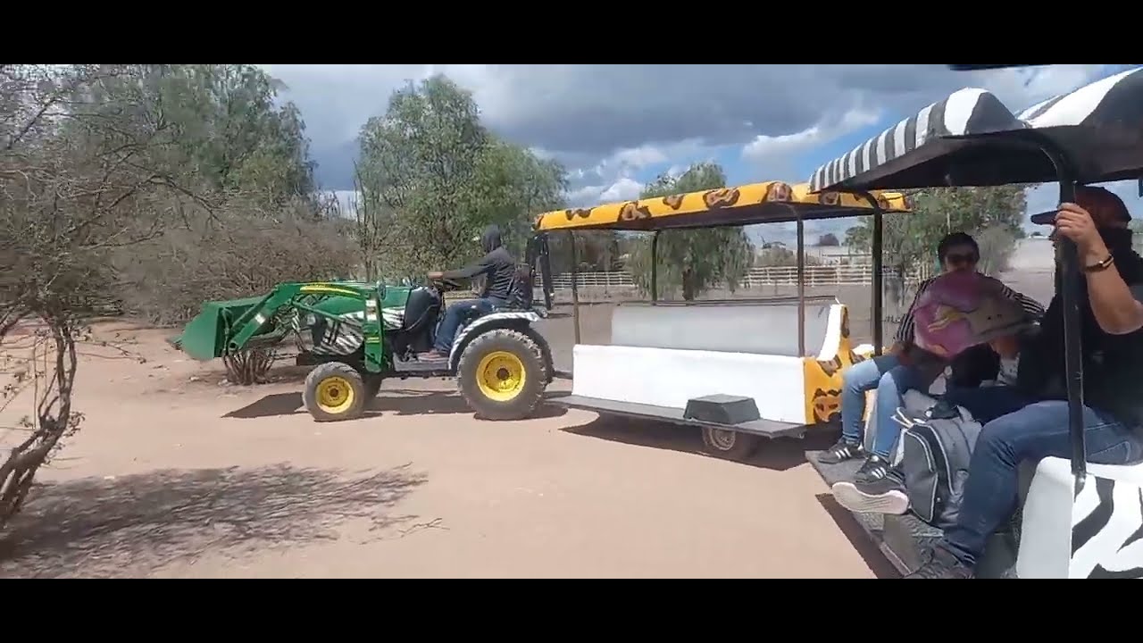 Nos dimos una vuelta en este trenecitoen el zoologico wameru Queretaro ...