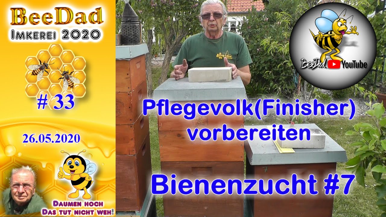 Bienenzucht #7 Pflegevolk (Finisher) vorbereiten Imkerei und Bienen ...