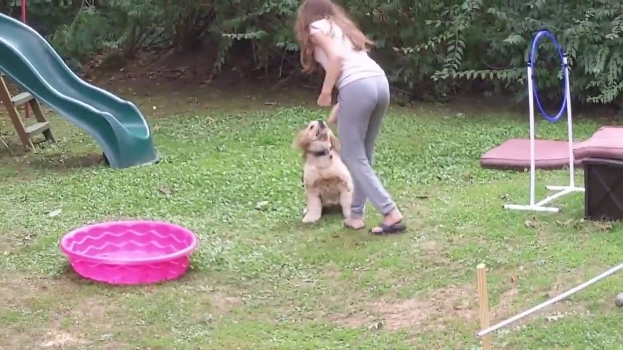 QUARANTINE BALL VII REMIX MP4 TEST - YouTube