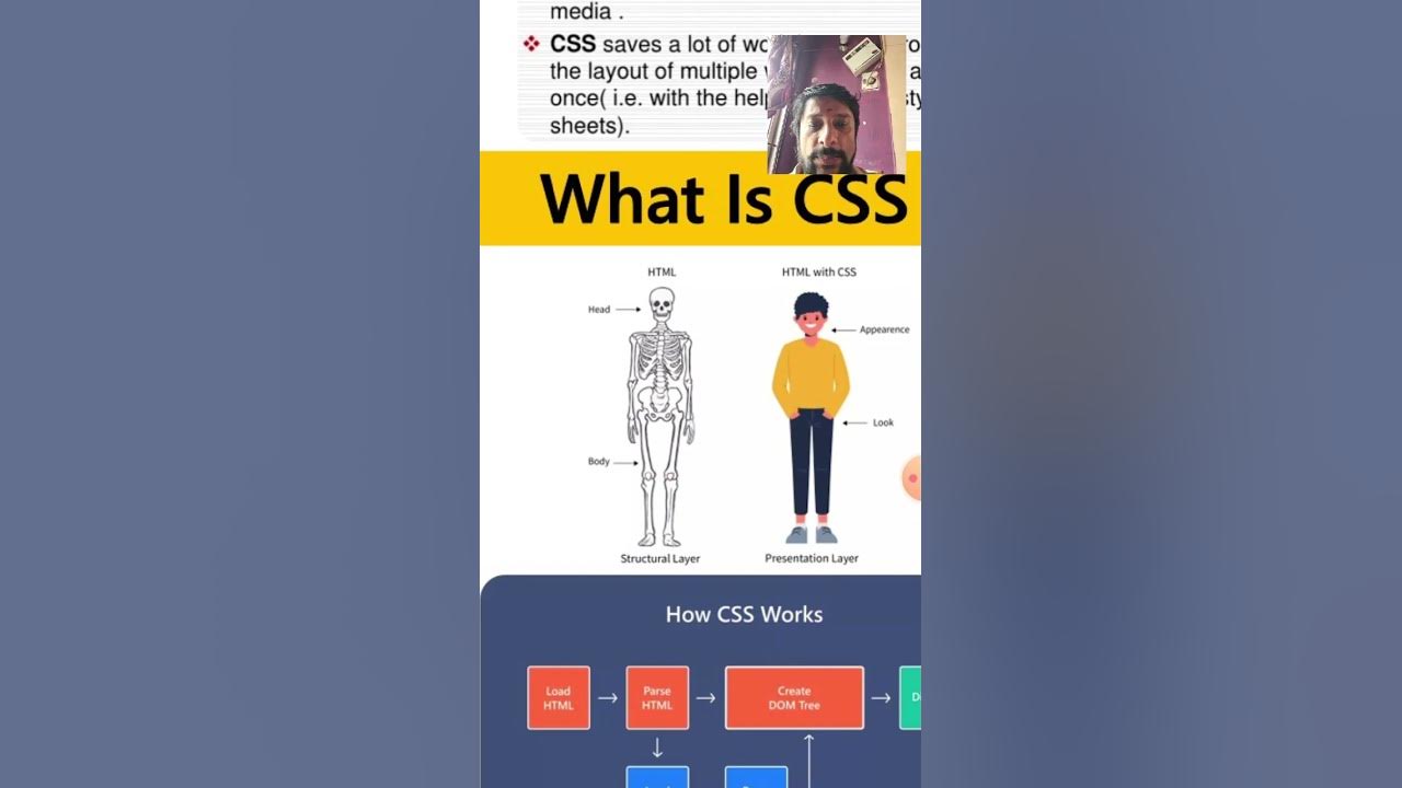 What Is Css Introduction To Css Css Stands For Css Types Htmlcss