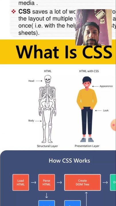What Is Css Introduction To Css Css Stands For Css Types Htmlcss