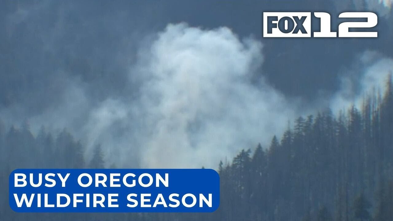 PNW wildfires burning over 1 million acres - YouTube