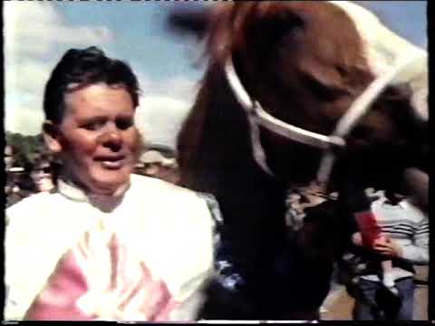 Paleface Adios Story - YouTube