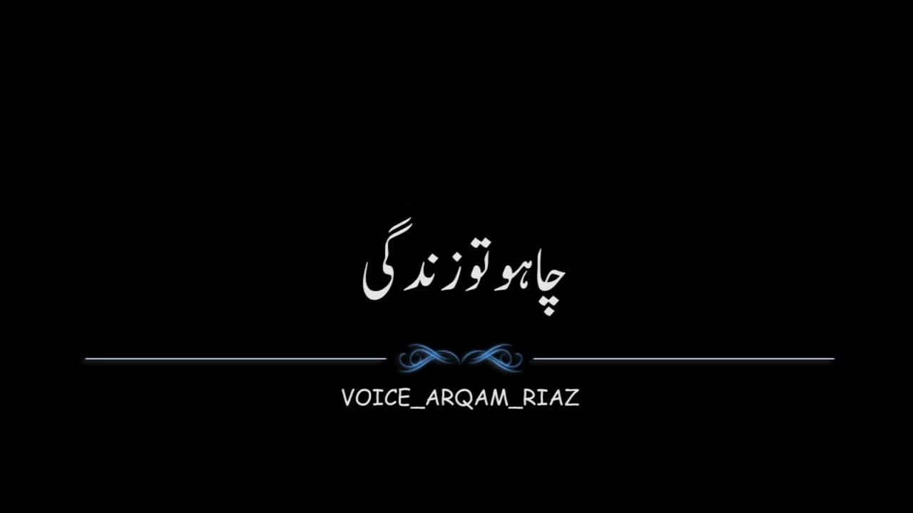 Muhobbat Kia Hay Poetry In Urdu Urdu Lines Urdu Words For Poetry muhobbat-kia-hay-poetry-in-urdu-urdu-lines-urdu-words-for-poetry