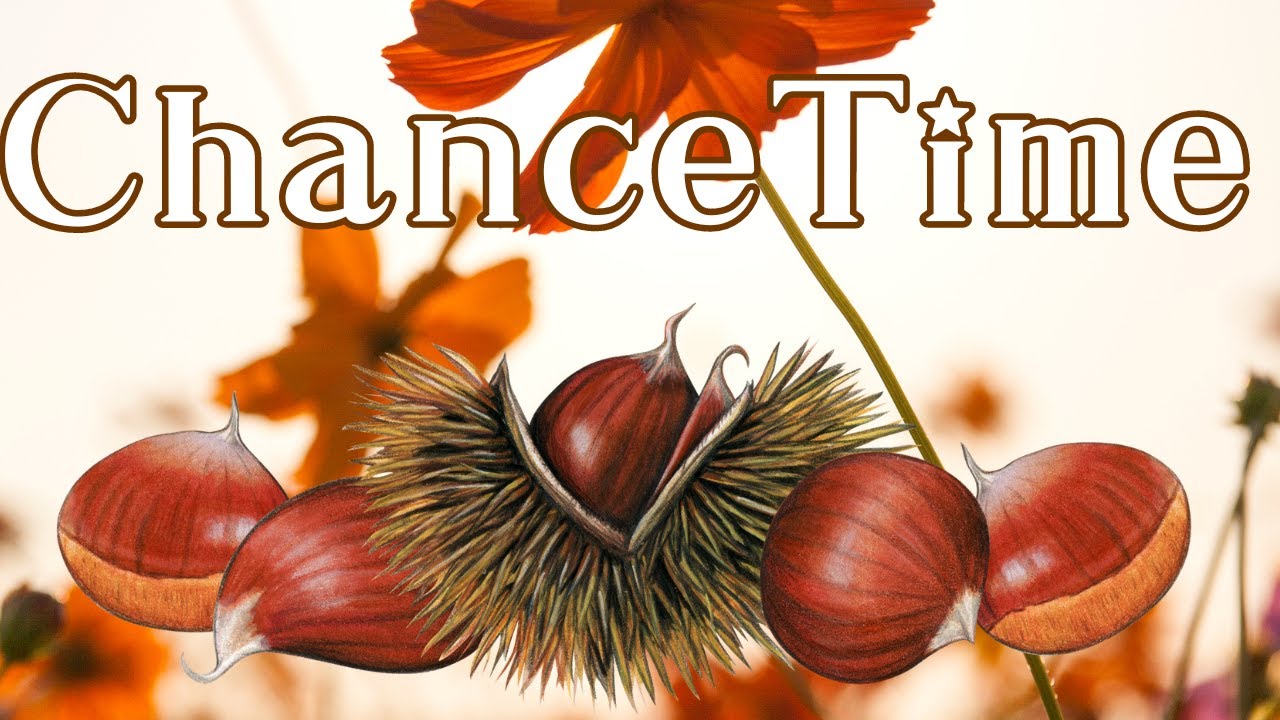 Chance Time 『栗🌰』 - YouTube