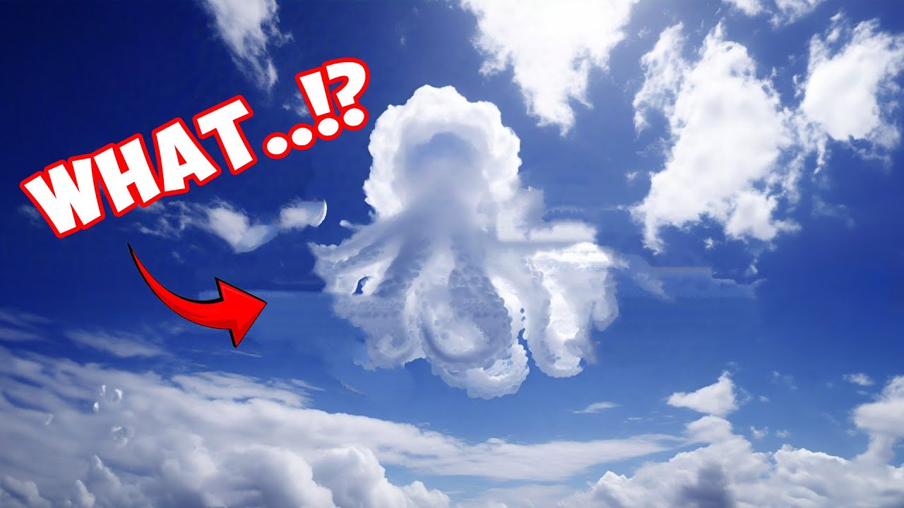 Unveiling Two Hidden Creatures: Drawing from a Real Cloud Photo ...