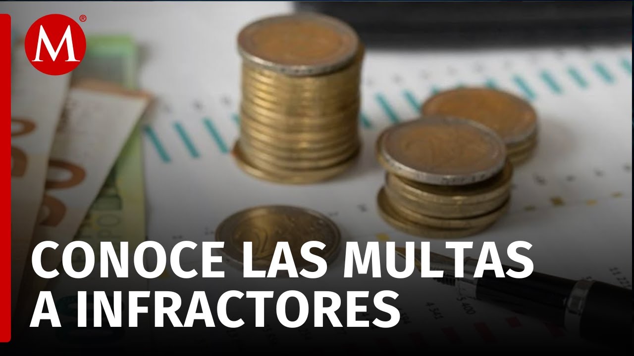 Profeco actualiza el monto de las multas para los infractores en 2025 ...