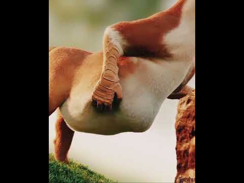 vore #automobile #funny #love #save #yt shorts