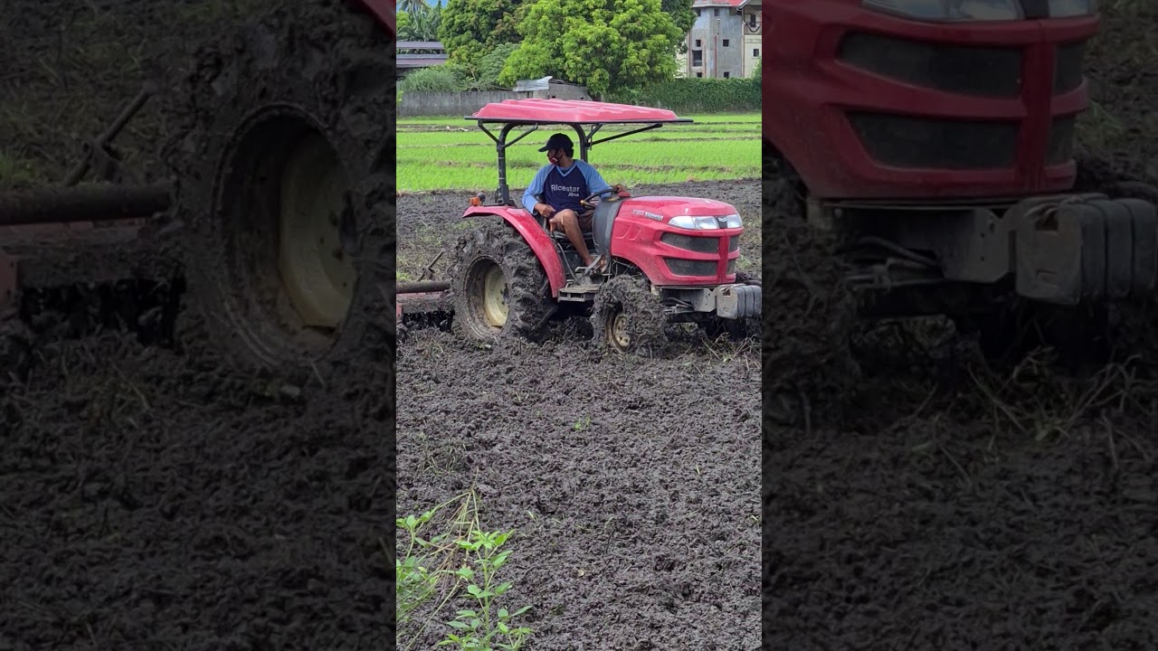 Yanmar ef393 tractor rice paddy prep - YouTube