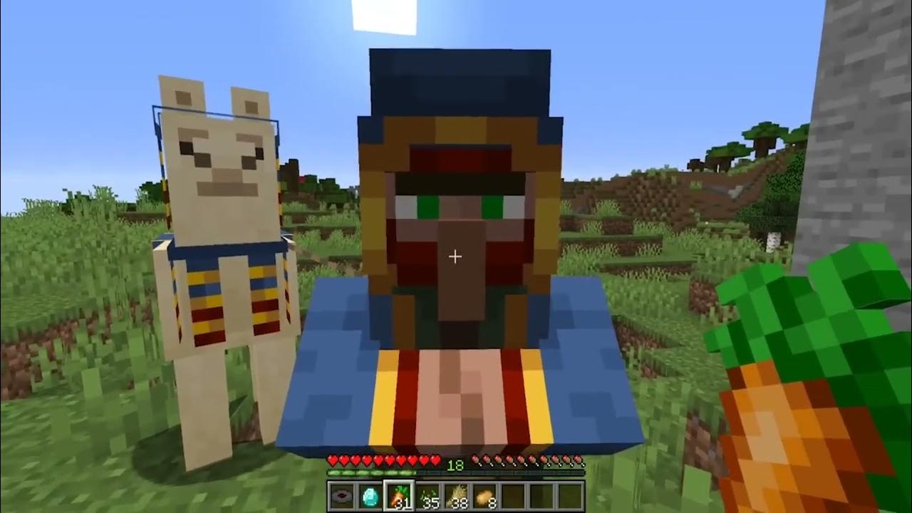 7w7b (REUPLOADED MINECRAFT ARG) - YouTube