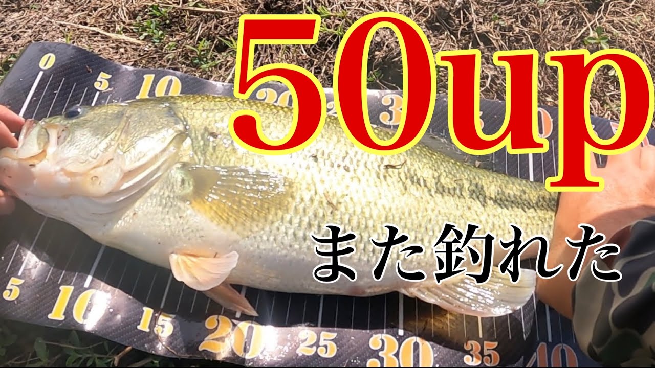 50upが3週連続⁉️ - YouTube