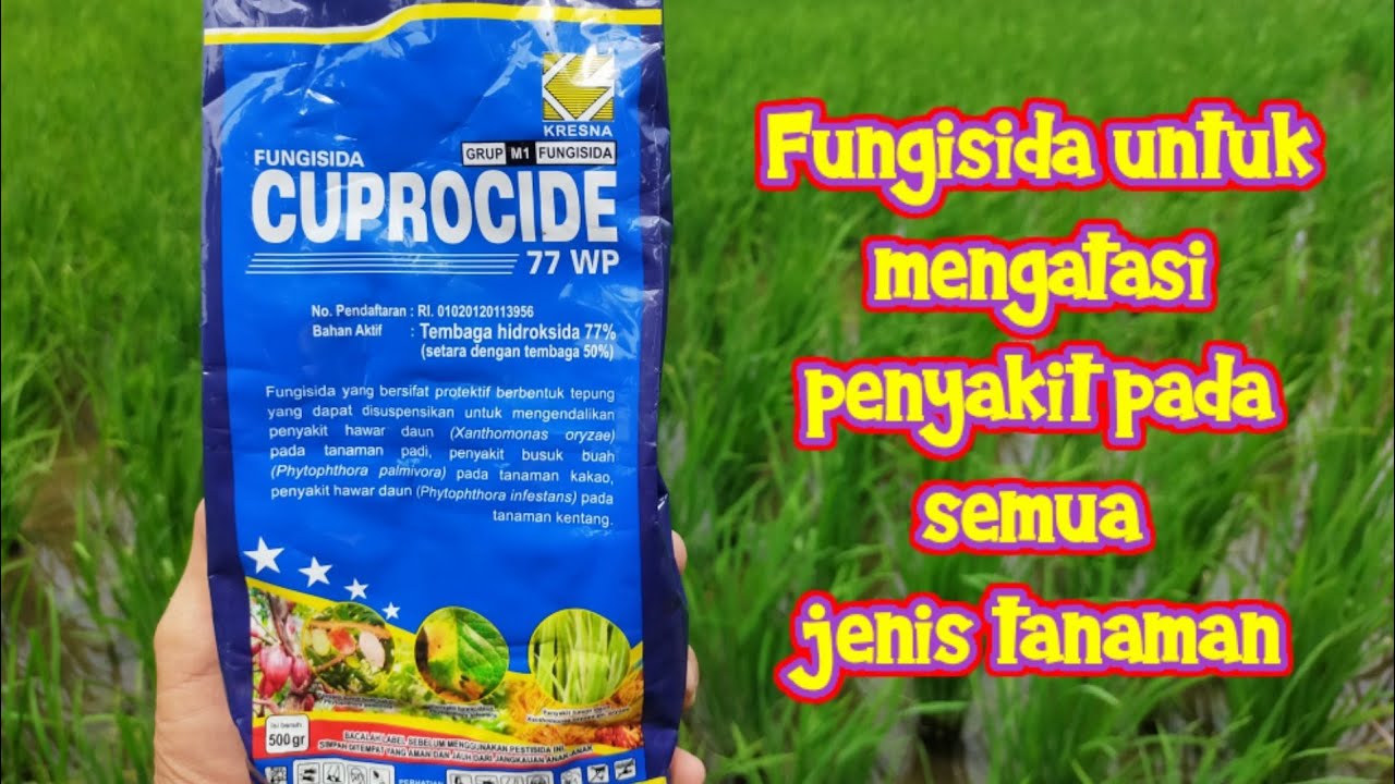 fungisida untuk mengatasi berbagai macam jenis penyakit pada tanaman ...