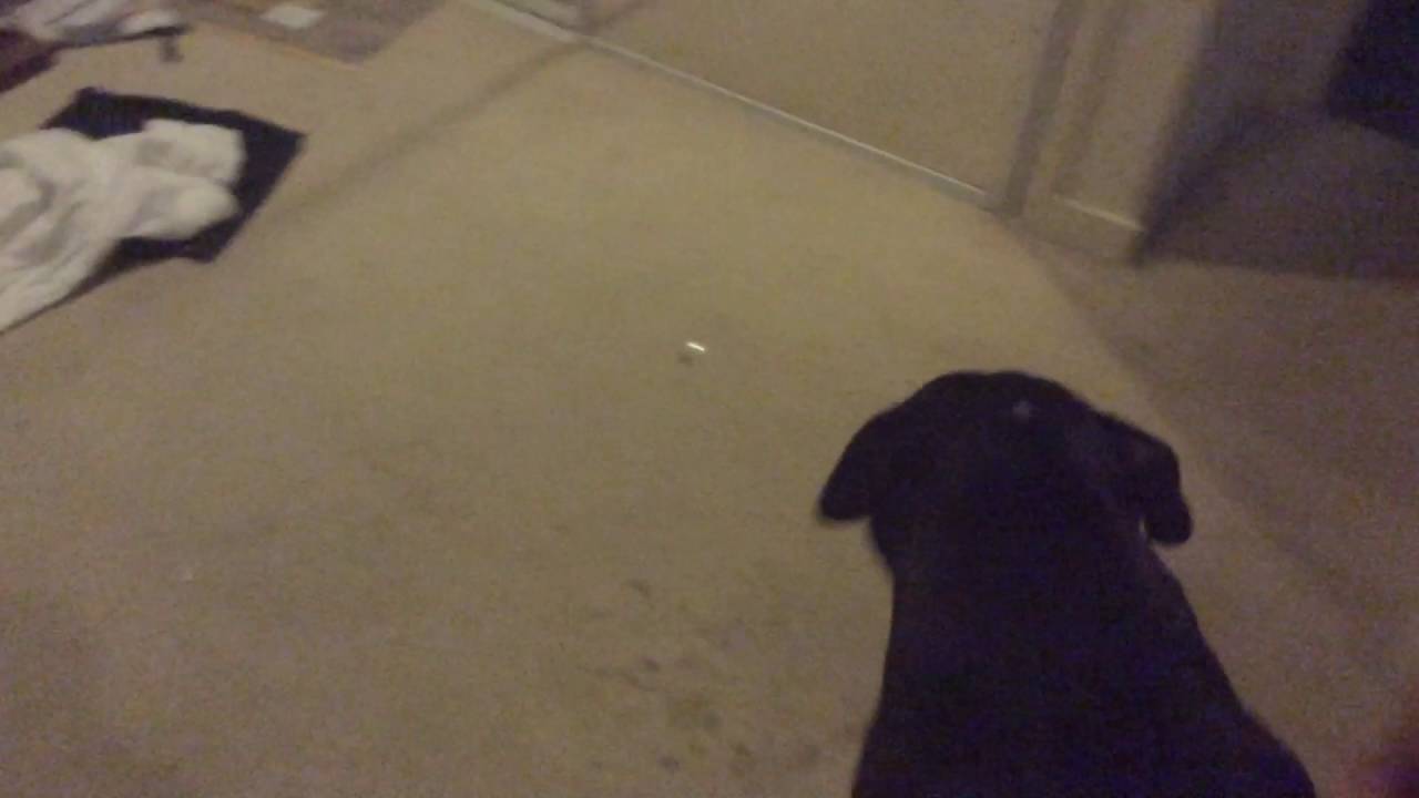 I love Riley - YouTube