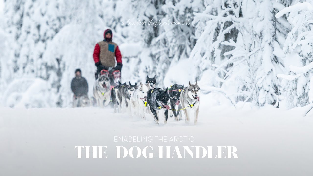Being a dog handler in Sweden - YouTube