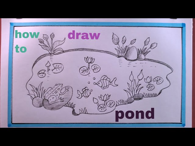 How To Draw A Pond With Animals