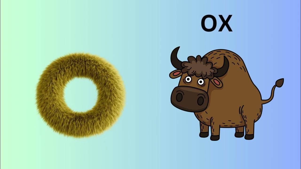 ABC Song | Learn ABC Alphabet for Children | Letter O Song | ABC baby ...