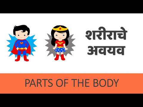 Learn Marathi Basics: Parts of the Body (शरीराचे अवयव) - YouTube