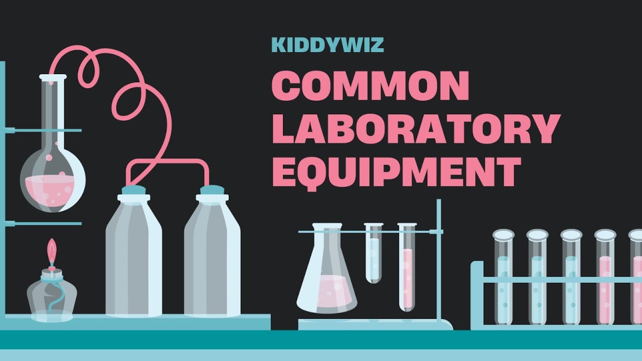 Common Laboratory Equipment - A Fun Guide for Kids! - YouTube