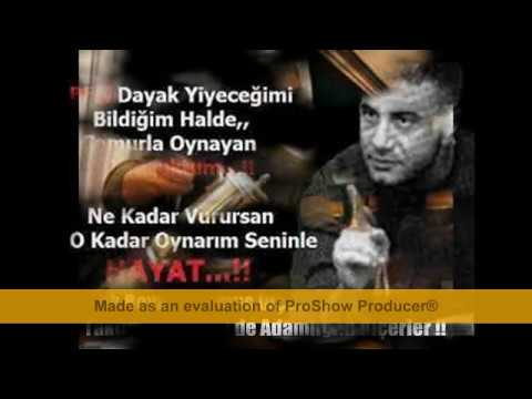 ALİ KINIK YIKILMA