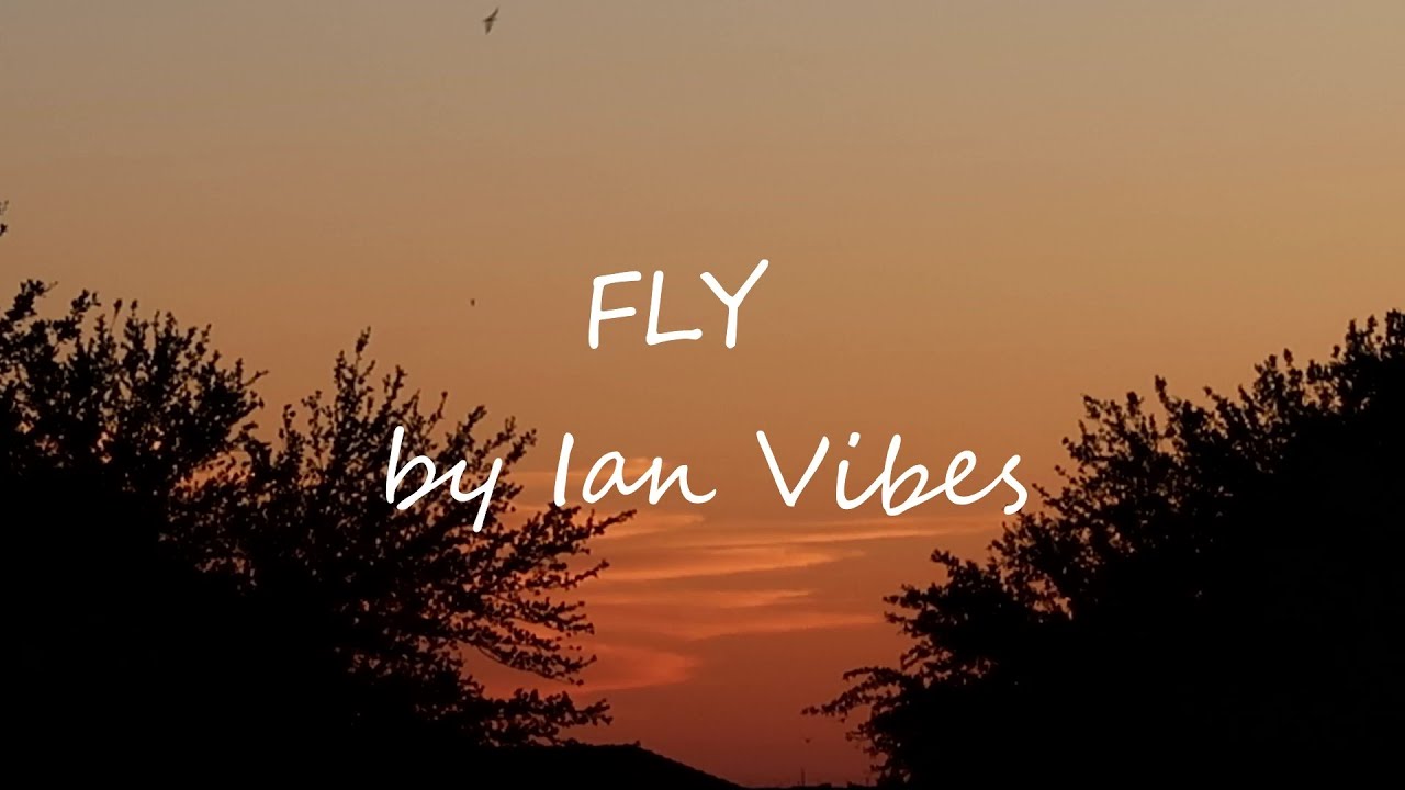 Ian Vibes - Fly (Official Audio/Visual) - YouTube