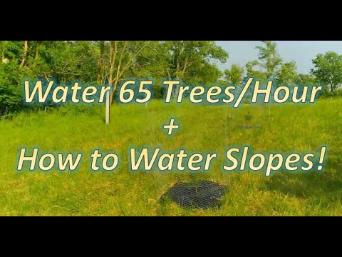 Quick Watering System + Spruce/Pine Updates! - YouTube