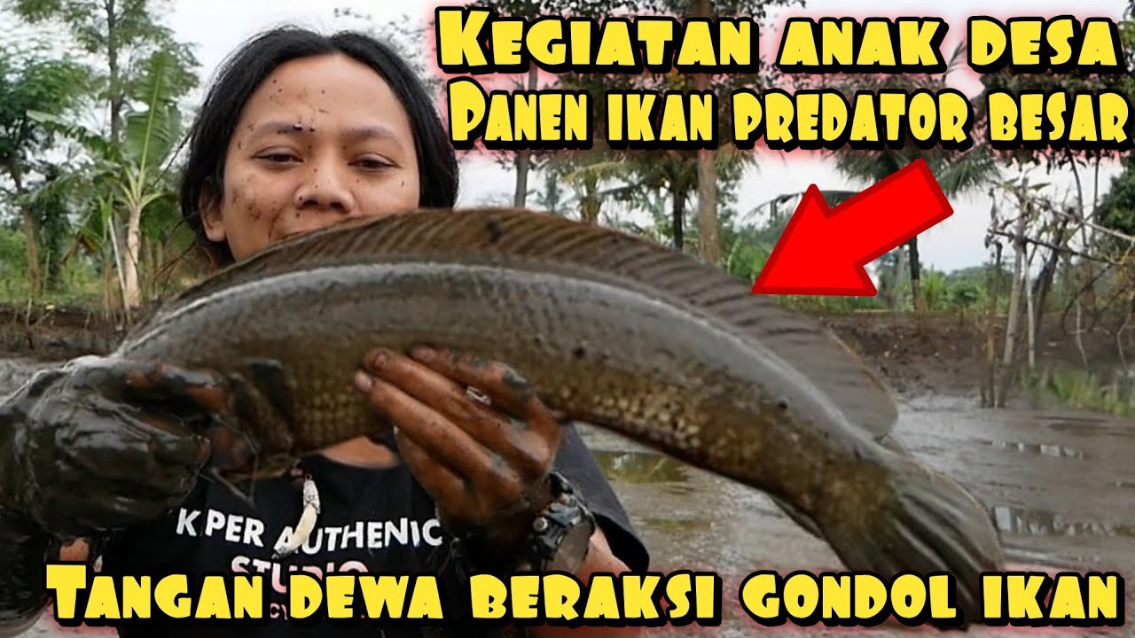 THE REAL TANGAN DEWA TANGKAP MONSTER BESAR DENGAN TANGAN KOSONG - YouTube
