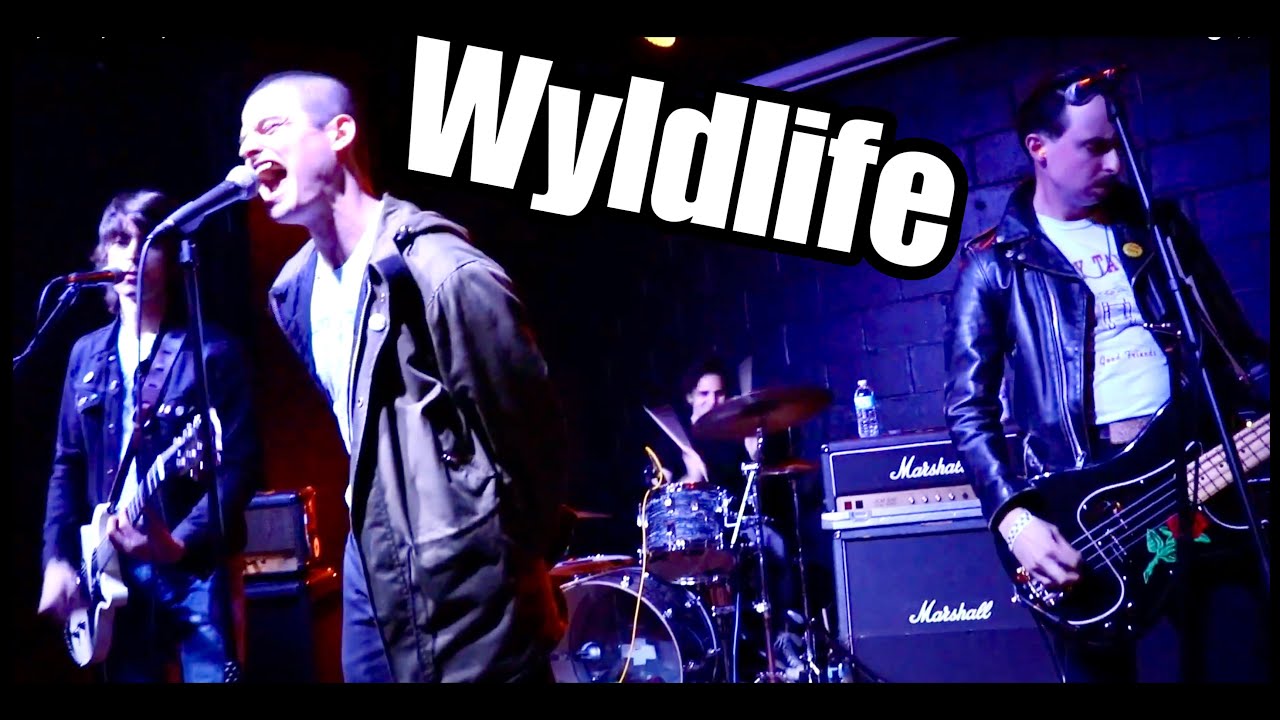 Wyldlife - Wyld In Indy 2019 - YouTube