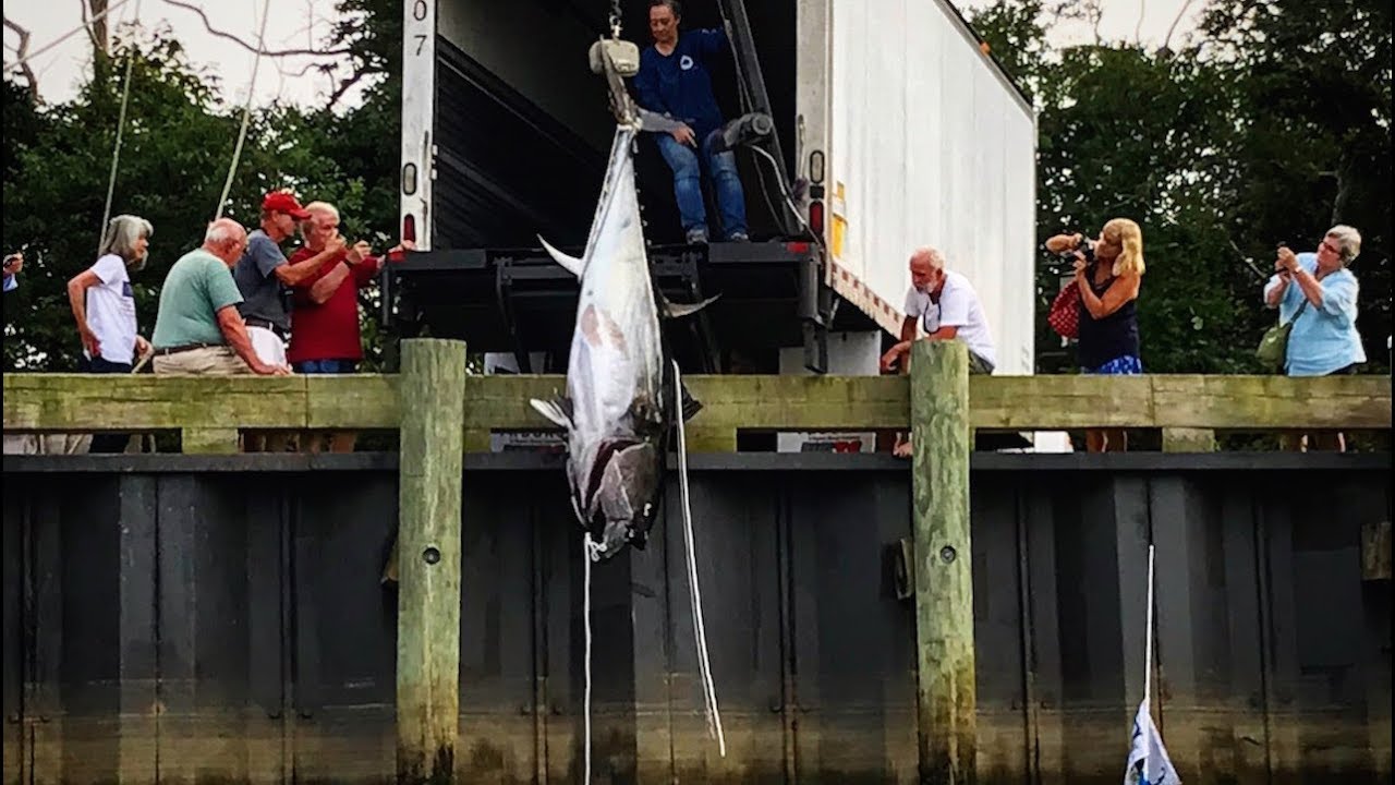 My First Cape Cod Giant Bluefin Tuna Of 2018 - YouTube