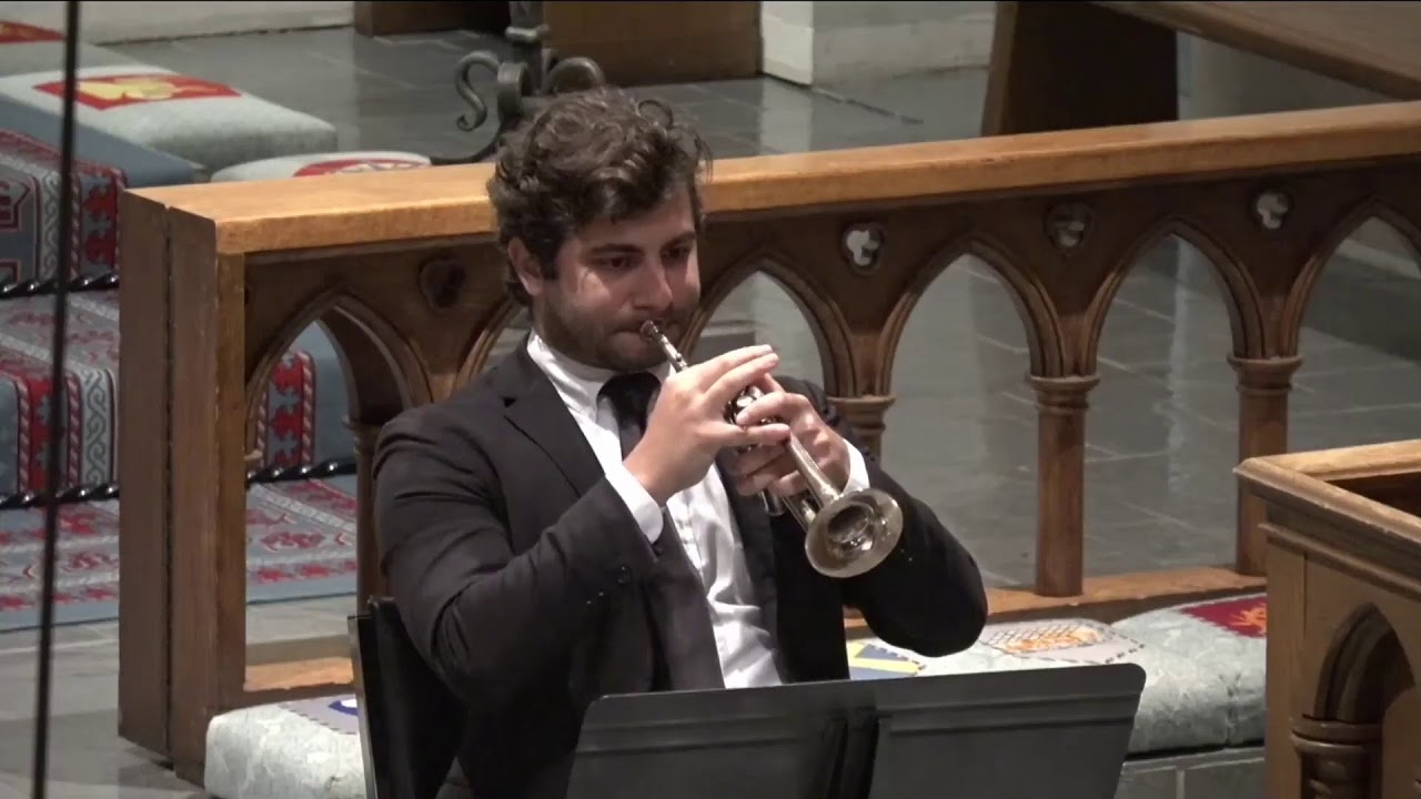 King of Instruments | The Great Music Series, feat. Anthony Limoncelli ...