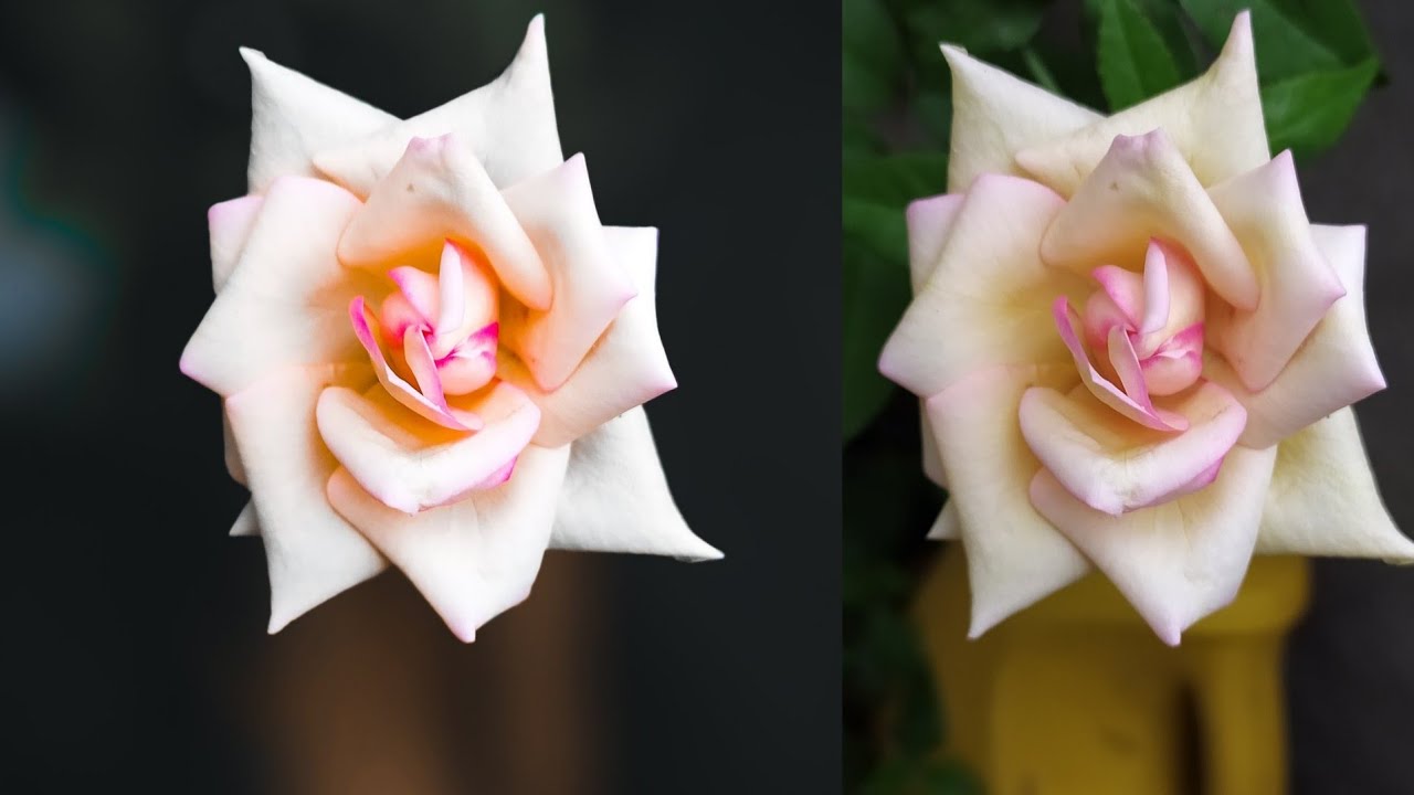 How to Blur background in snapseed || Natural photo editing ...