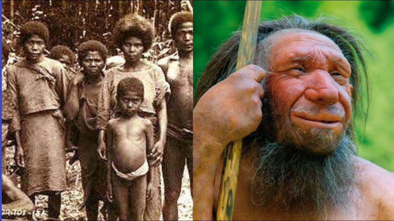 Philippine Indigenous Group "AETA" Has Most "Denisovan" DNA,Base on new ...