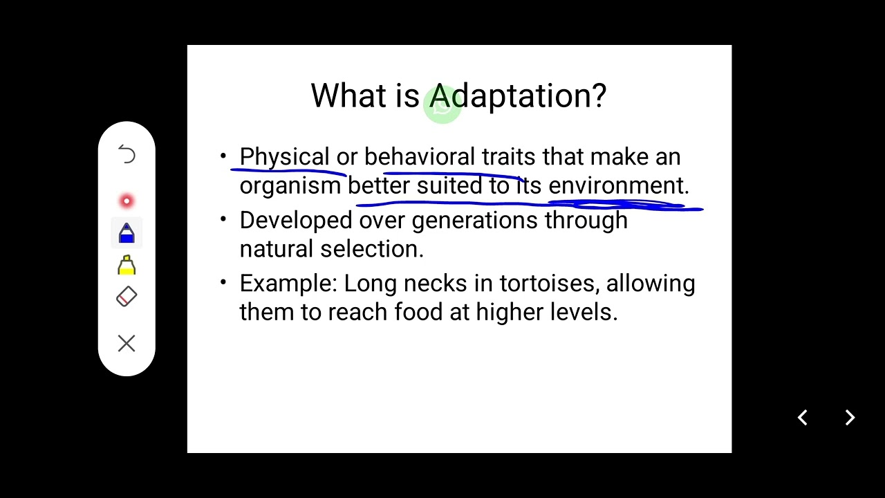 Difference between Variation and Adaptation [New Secondary Science 8 ...