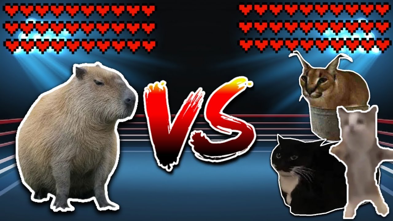 Capybara vs All Cats! Meme battle - YouTube