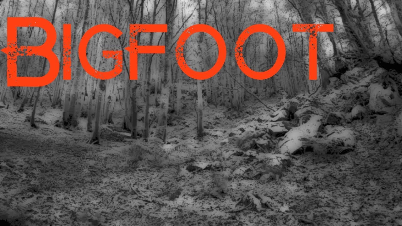 European Bigfoot - Urban Legend - YouTube