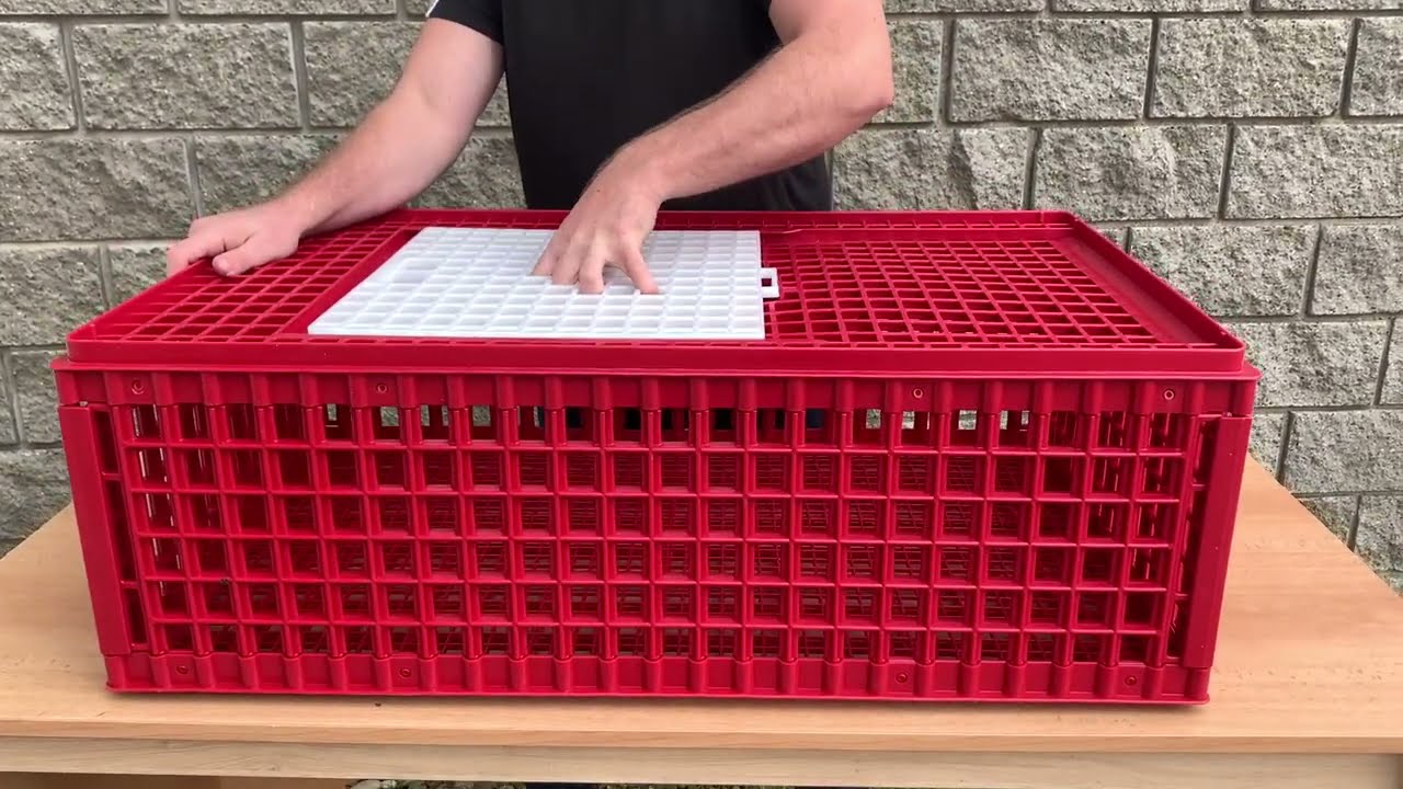 Přepravní box na živou drůbež CRATE MOD B1 - 95,5x57x32,5cm I - YouTube