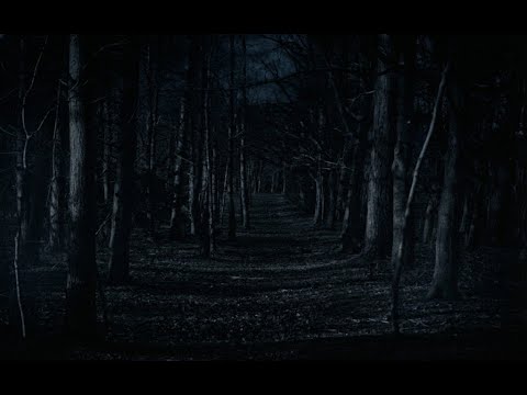 Unknown Nextbot's - New Music - YouTube