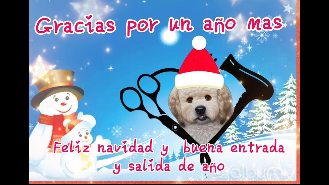 Feliz Navidad 🎉 Navidad perruna - YouTube
