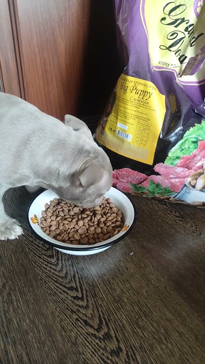 Корм без курицы Grand Dog в Санкт-Петербурге. Доставка в день заказа ...