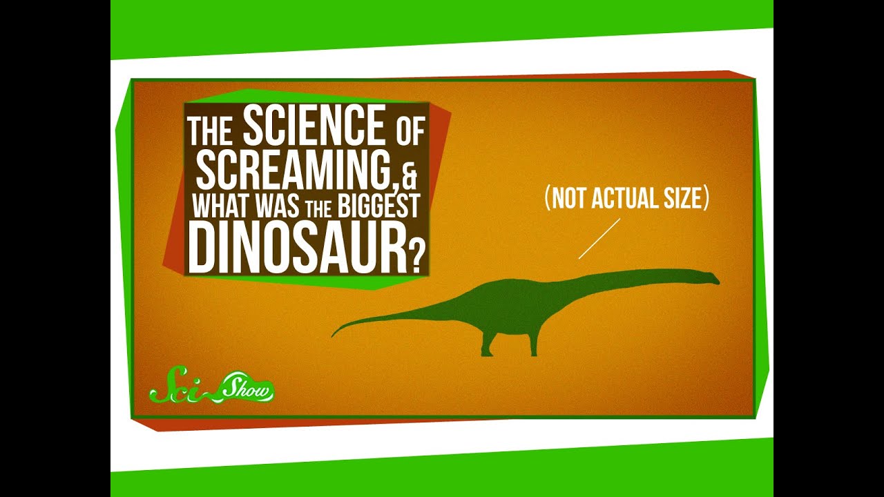 The Science of Screaming, And What Was the Biggest Dinosaur? - YouTube