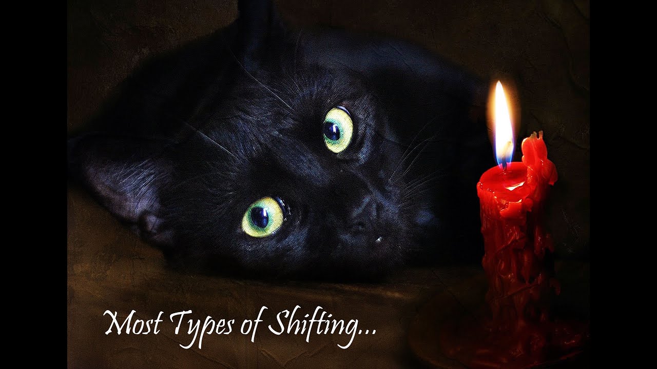 SHAPESHIFTING LESSON 3 : Main Shifting Types... - YouTube