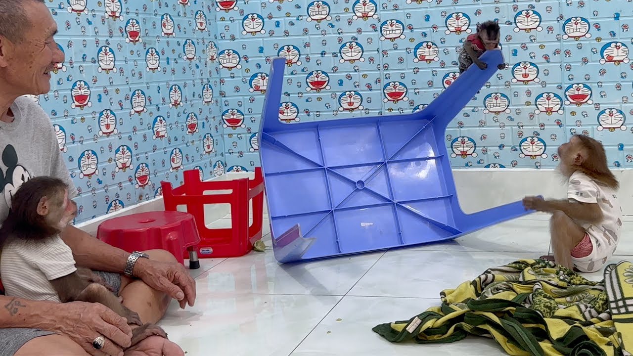 Monkey baby Bob tiny play adventure games - YouTube