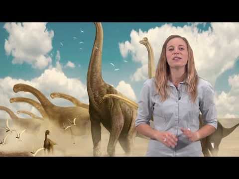 Dinosaur Myth Busted: The Brontosaurus