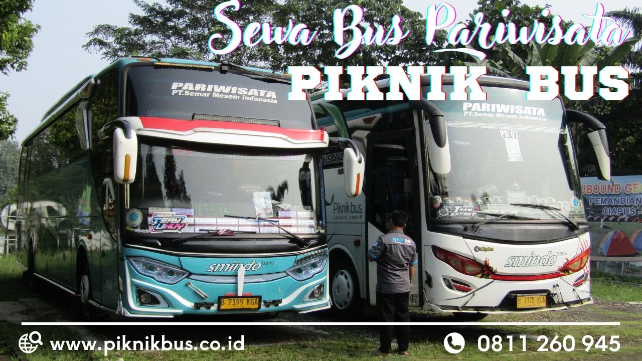 HARGA SEWA BUS PARIWISATA - PIKNIK BUS - YouTube