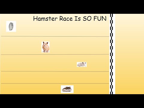 WHO KNEW HAMSTER RACING WAS SO FUN! (Hamster Playground EP2) - YouTube