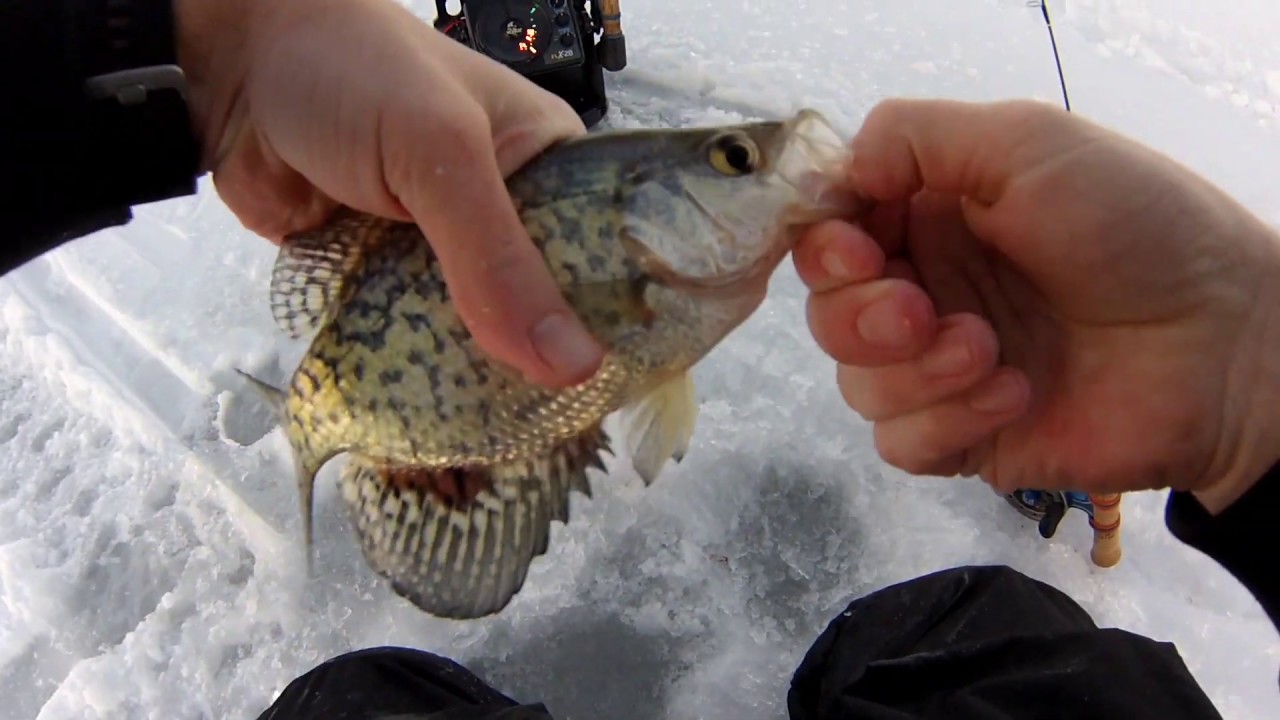 Baitless Spoon Fishing for Crappies and Sunfish (Clam Outdoors Drop Spoon) - YouTube