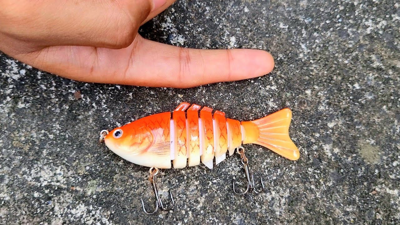 Fake Demo Fish to Catch Big Hunter Fish - YouTube