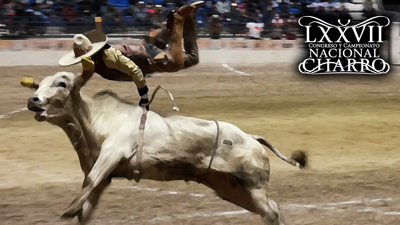 JINETEO DE TORO dia 20 semifinal - Congreso Aguascalientes 2021 - YouTube