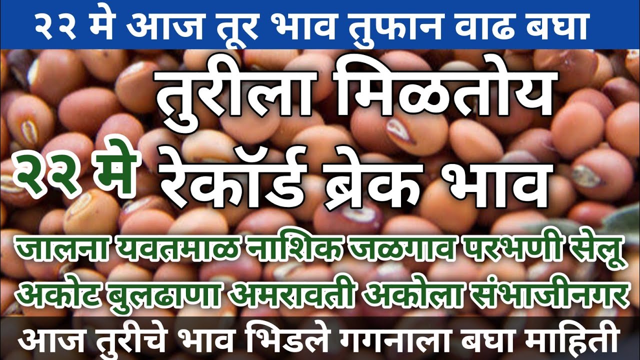 तुरीच्या भावात तुफान उसळी आली | दोन मिनिटे वेळ काढून व्हिडिओ नक्की बघाच ...