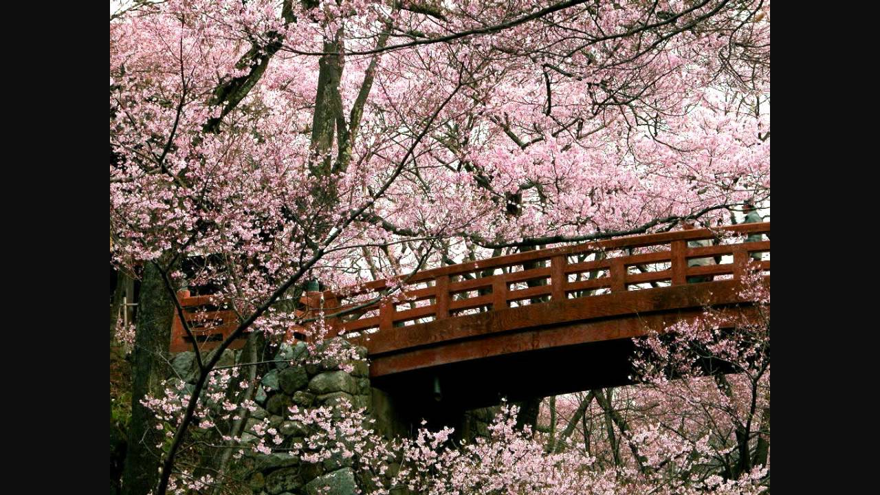 Nangijala - Anabelial - YouTube