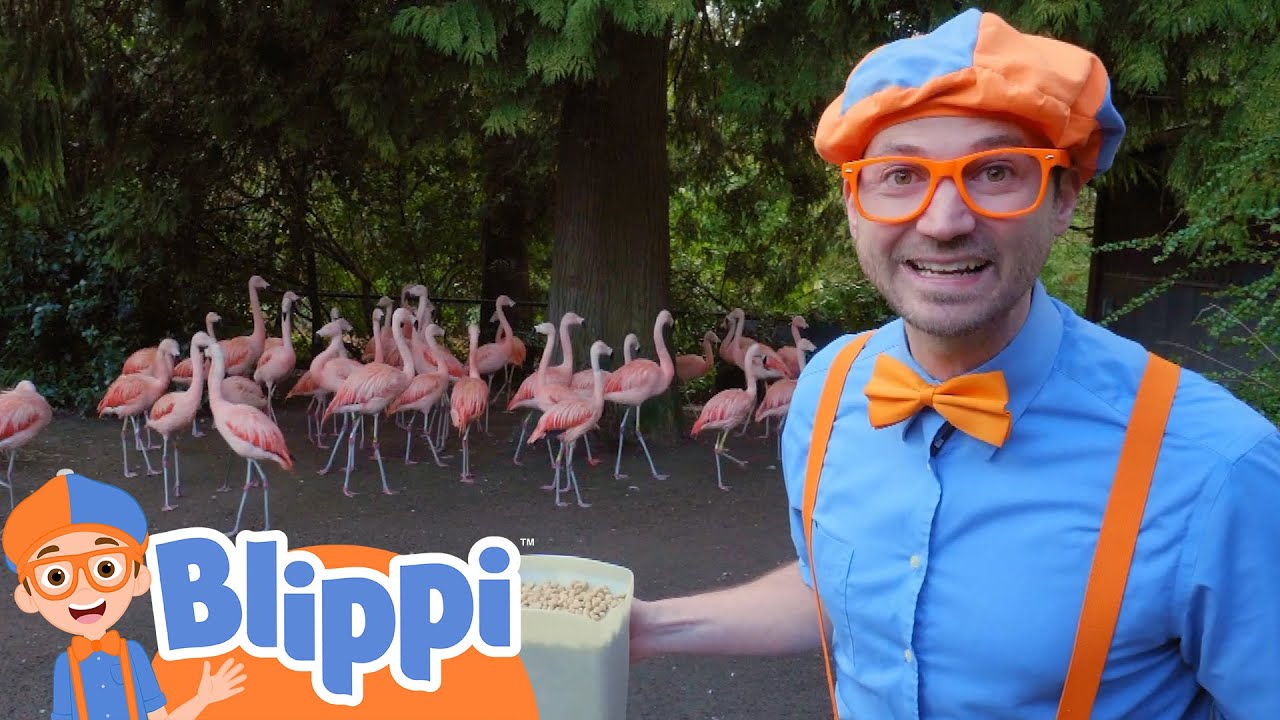 🐆 Blippi Goes To The Zoo 🐆 | BLIPPI | Kids TV Shows | Cartoons For Kids ...